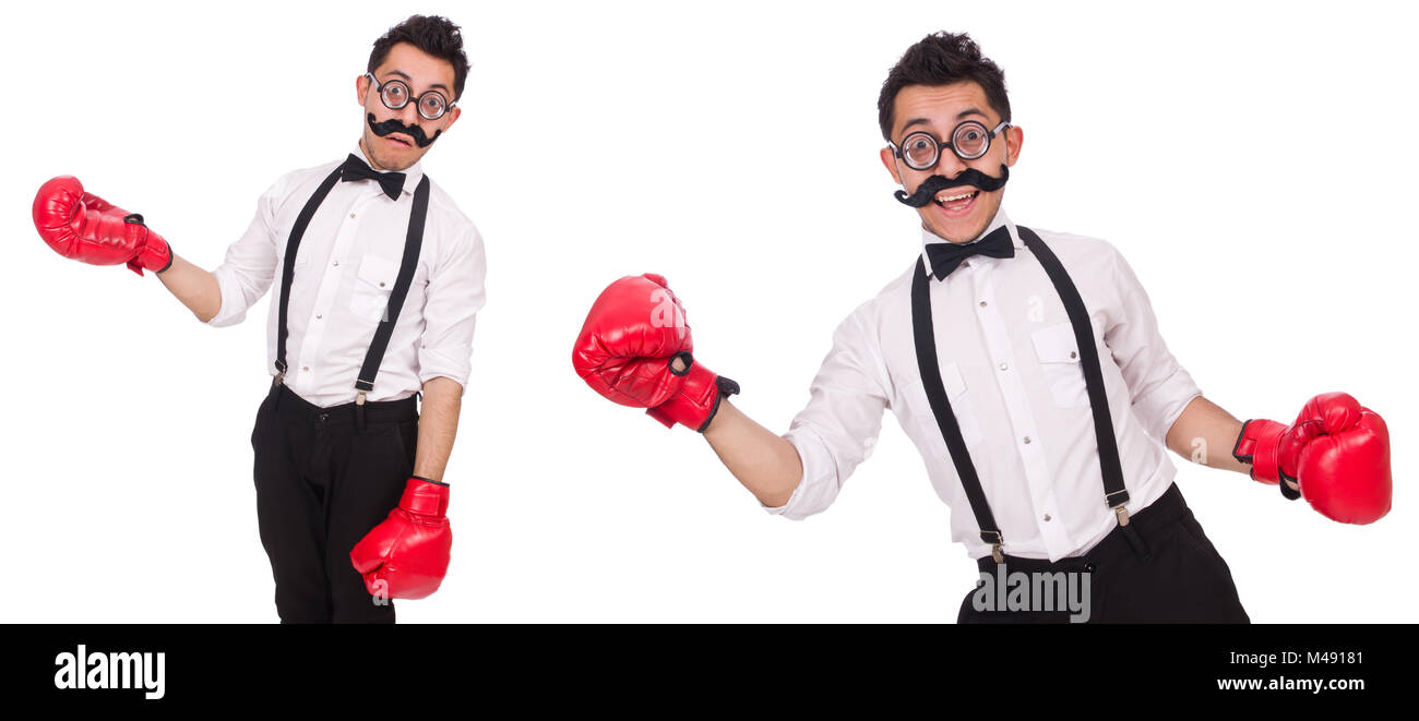 Funny boxer isolated on the white background Stock Photo - Alamy