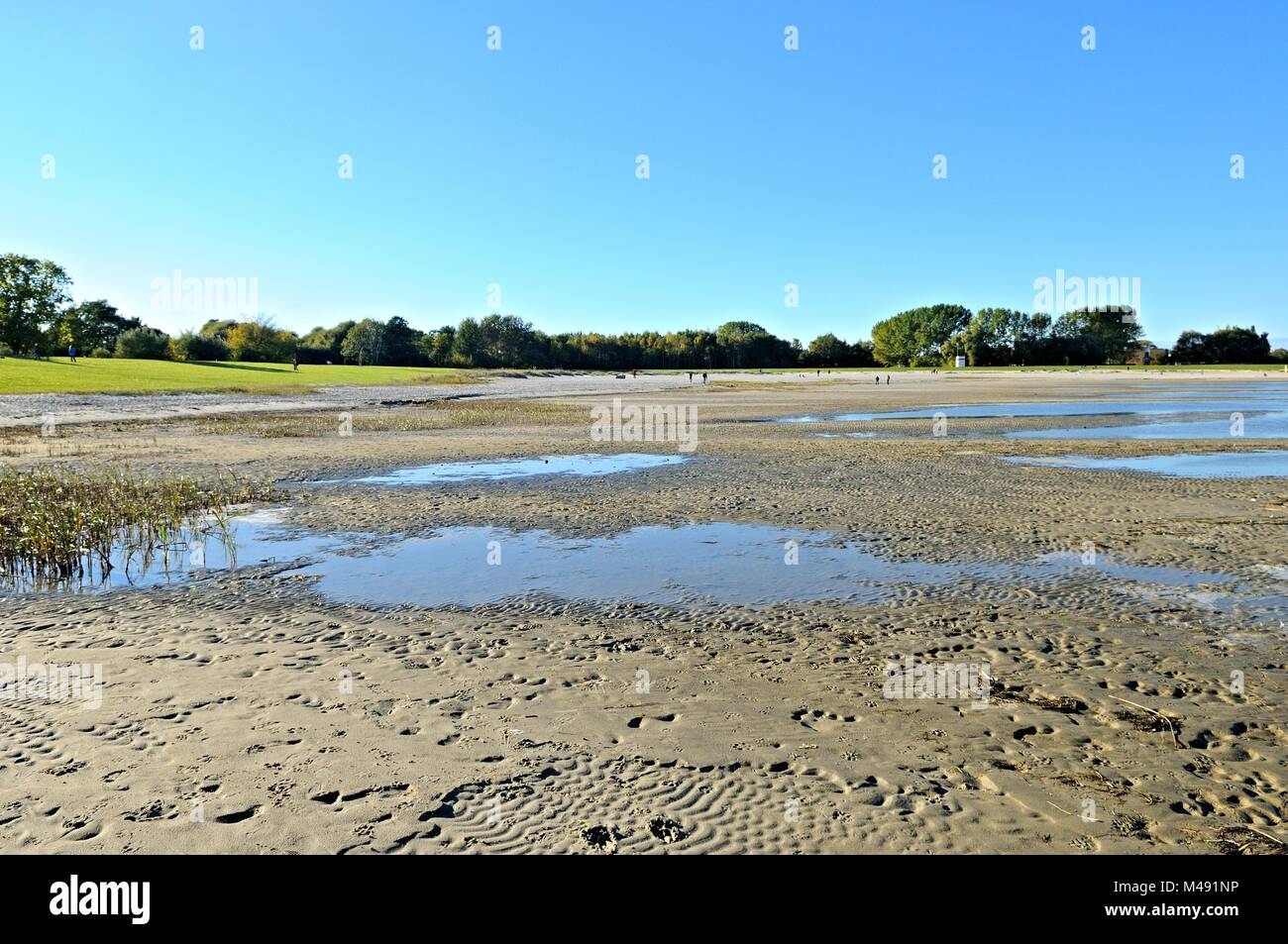 Eldena bathing beach Greifswald Baltic Sea Germany Stock Photo - Alamy