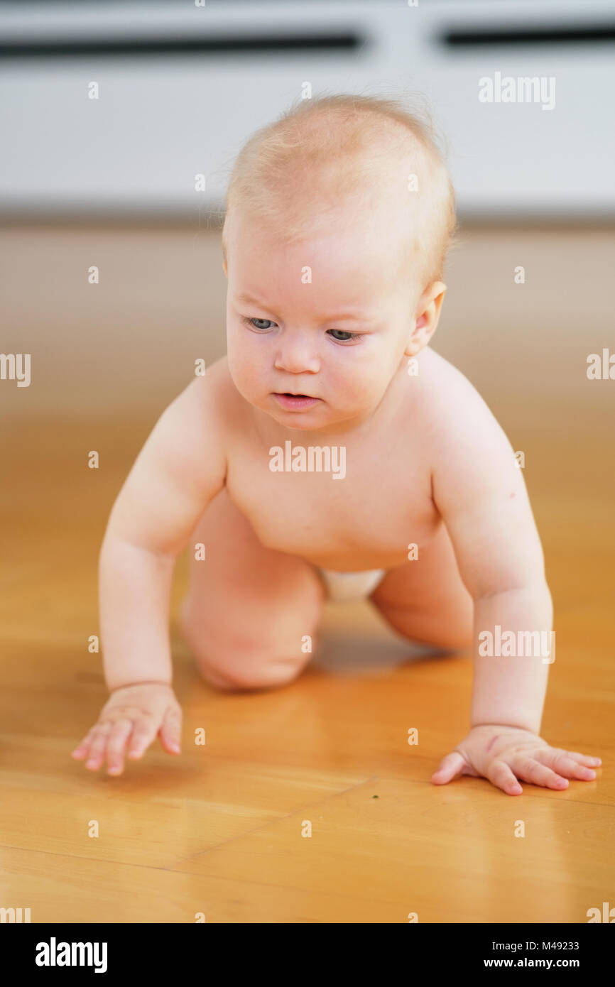 Baby boy crawling Stock Photo - Alamy