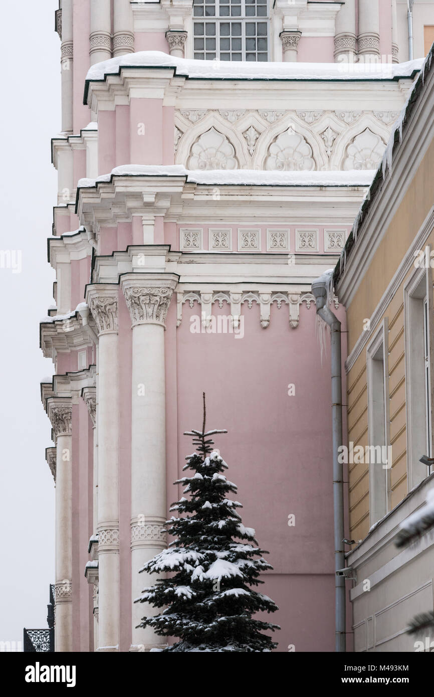 Tall historic building and a spruce tree in winter. Urban landscape ...