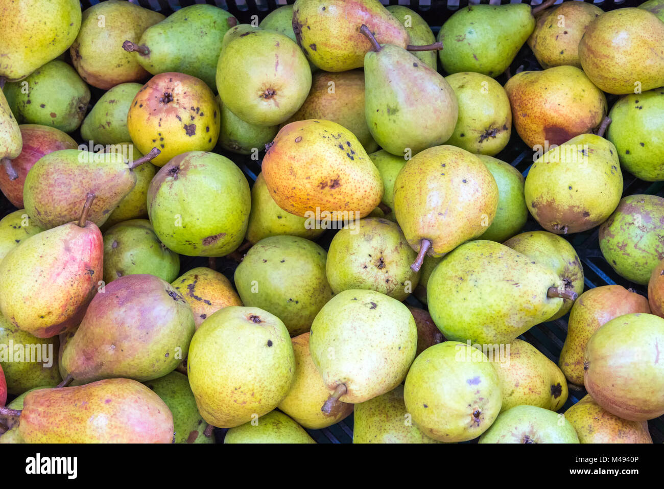 Market green pears hi-res stock photography and images - Alamy
