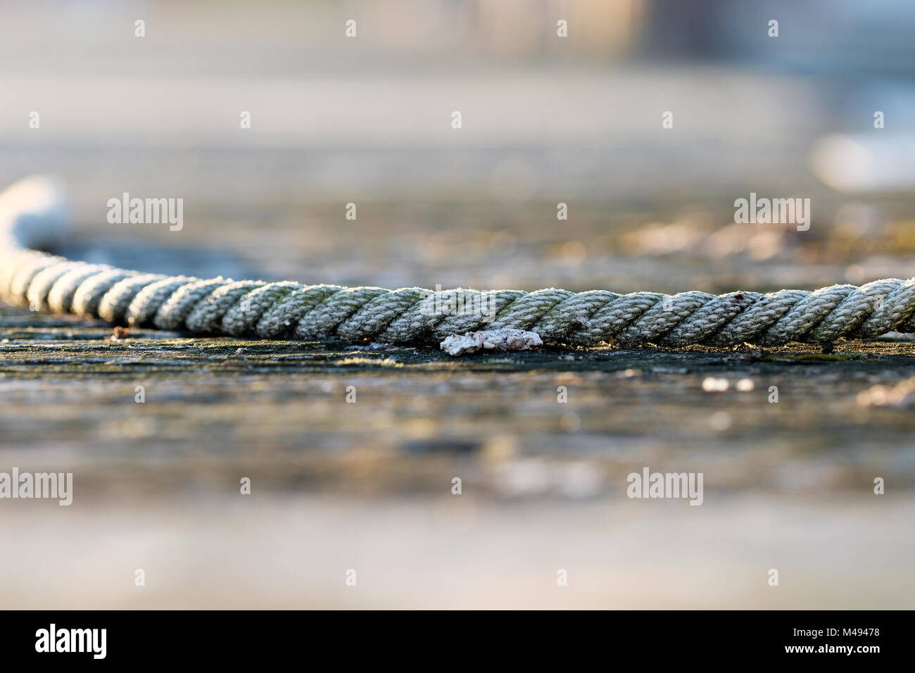 Finger jetty hi-res stock photography and images - Alamy
