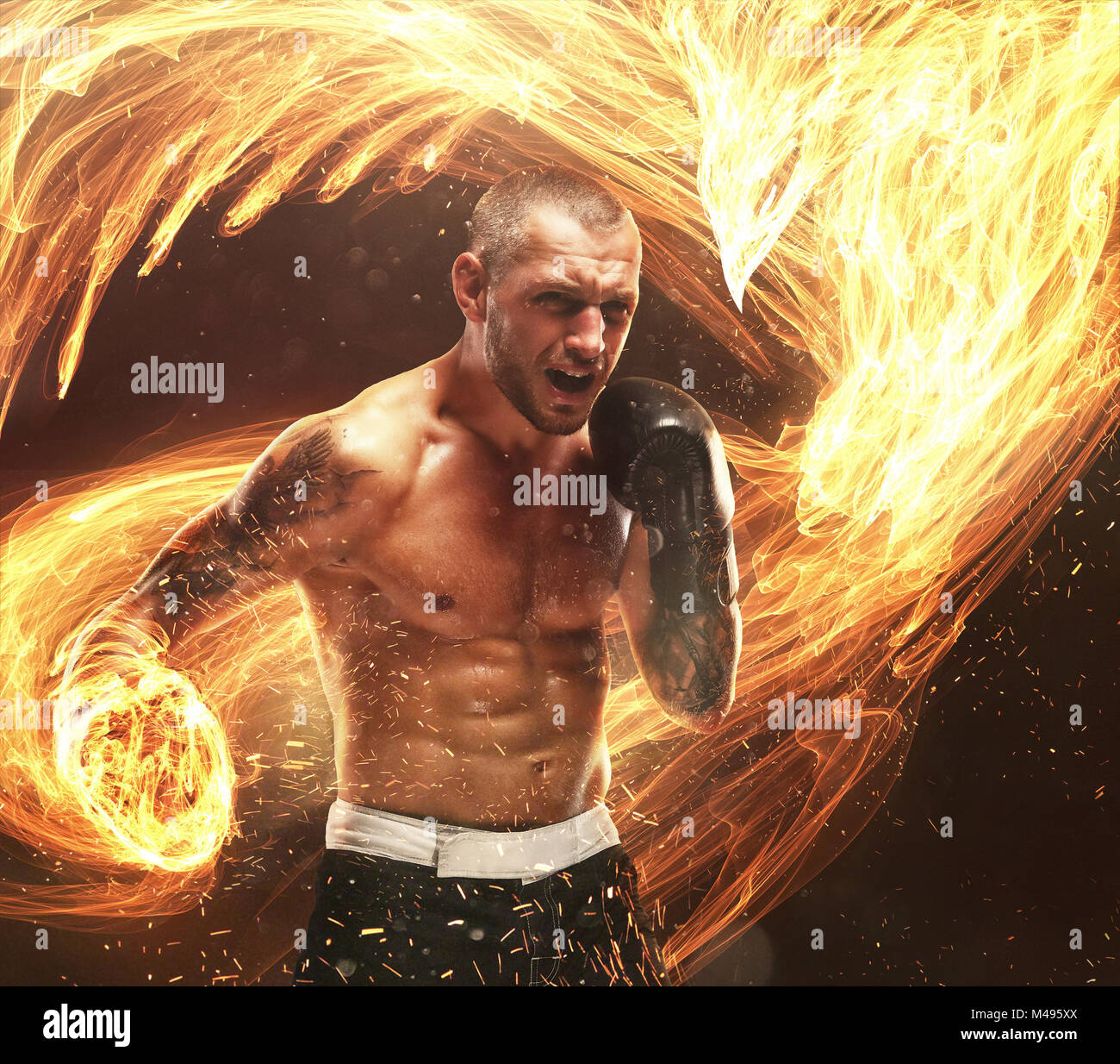Fighter with phoenix fire bird on background Stock Photo - Alamy