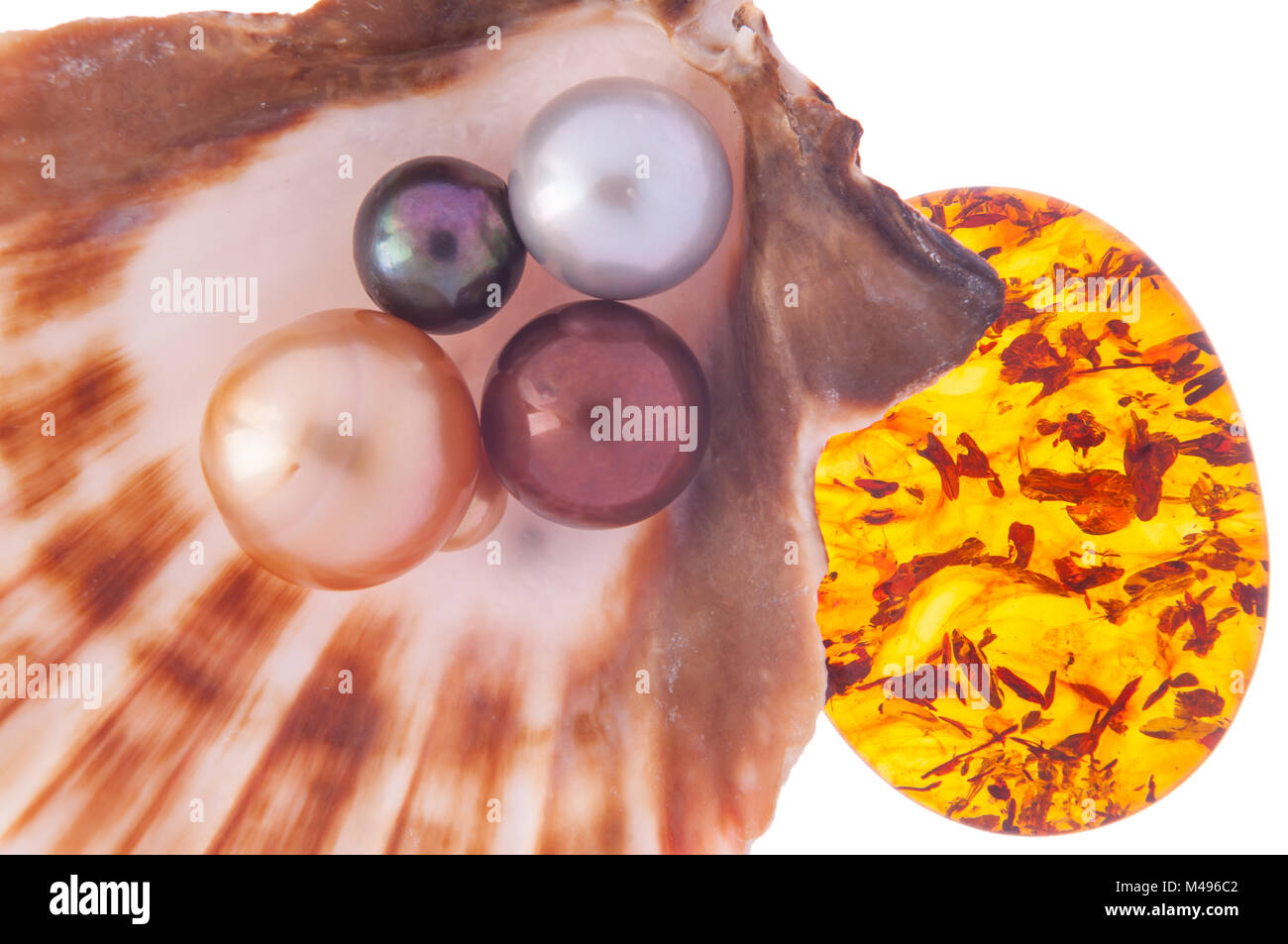 beautiful pearl in the shell with amber Stock Photo - Alamy