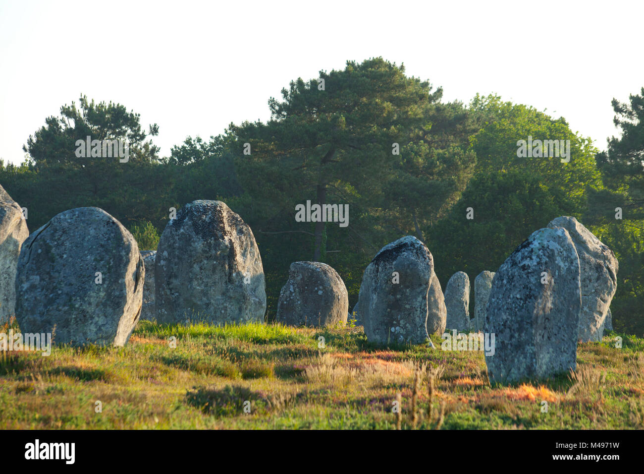 The Carnac alignments of menhirs. Lines of standing stones, granite ...