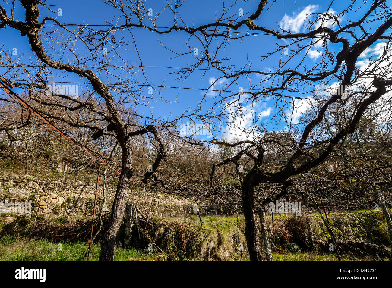 The small village of Paneda in northern Portugal Stock Photo - Alamy