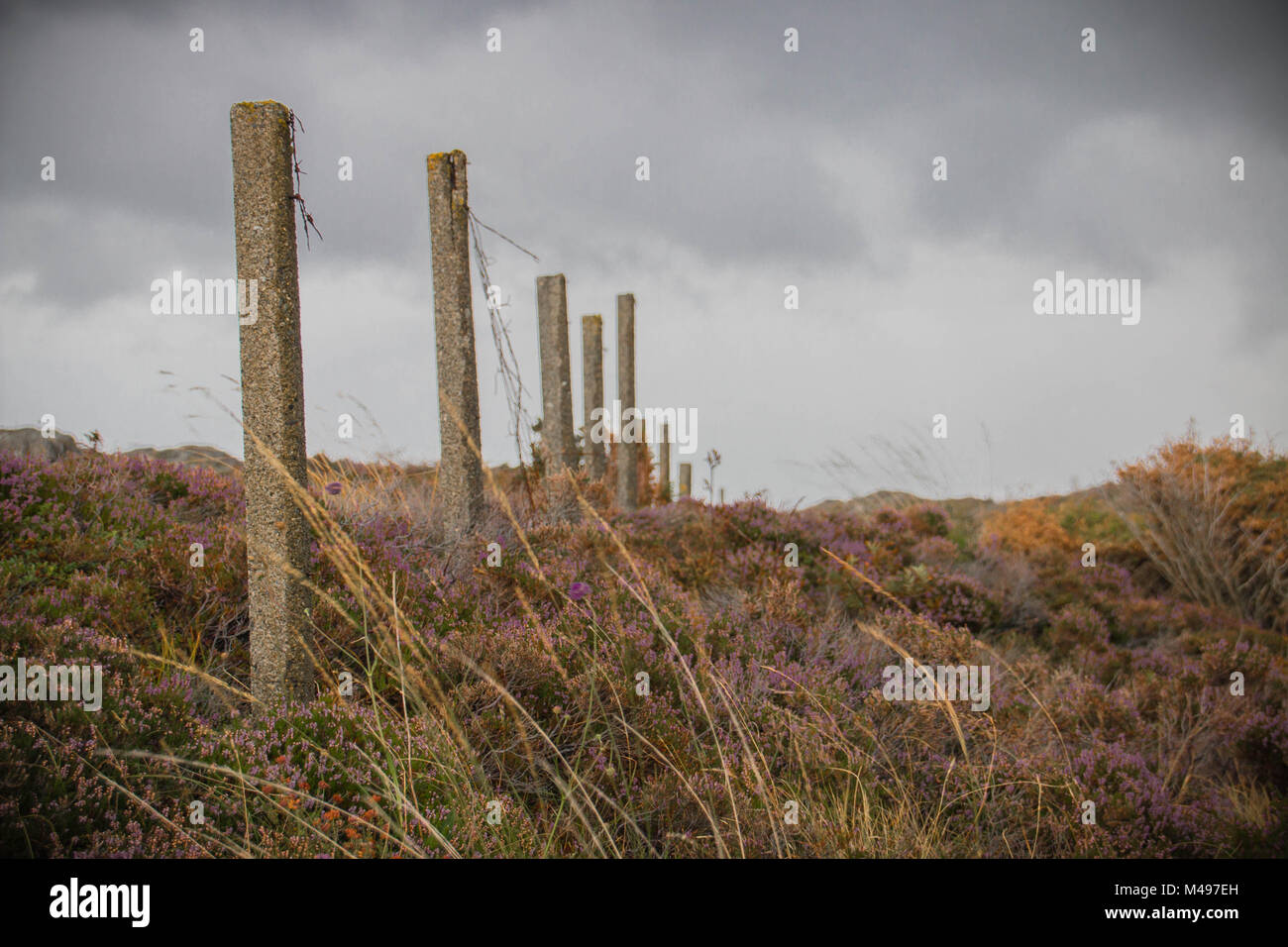 Norwegian fence hi-res stock photography and images - Alamy