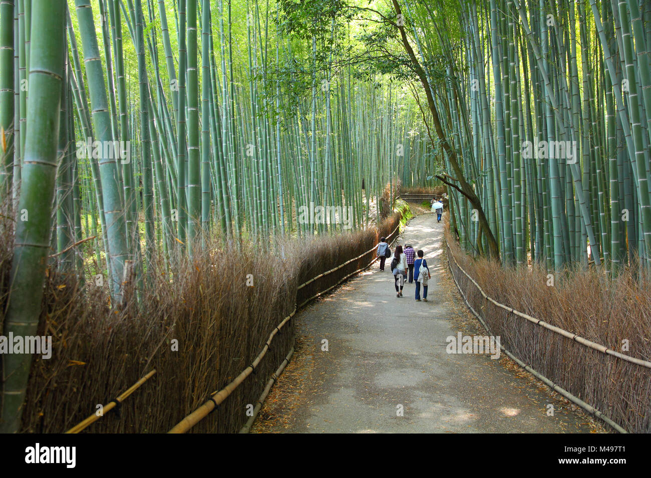 Tourists arashiyama bamboo grove hi-res stock photography and images ...