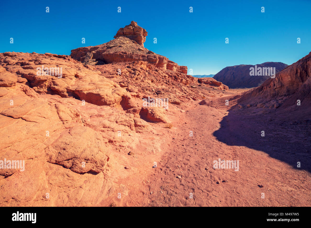 Sandstone rock in Timna park, Israel Stock Photo - Alamy