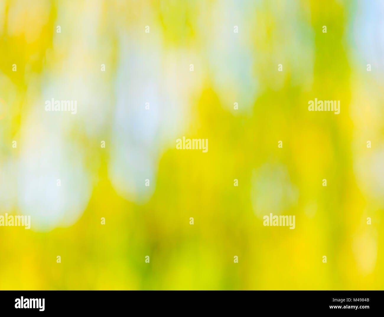 Beautiful natural bokeh Stock Photo - Alamy