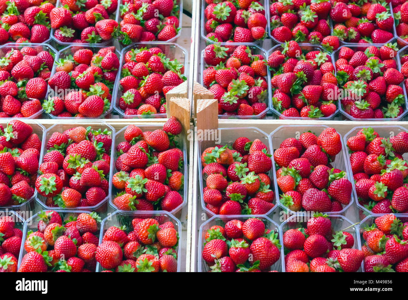 Fresh strawberries for sale at a market Stock Photo - Alamy