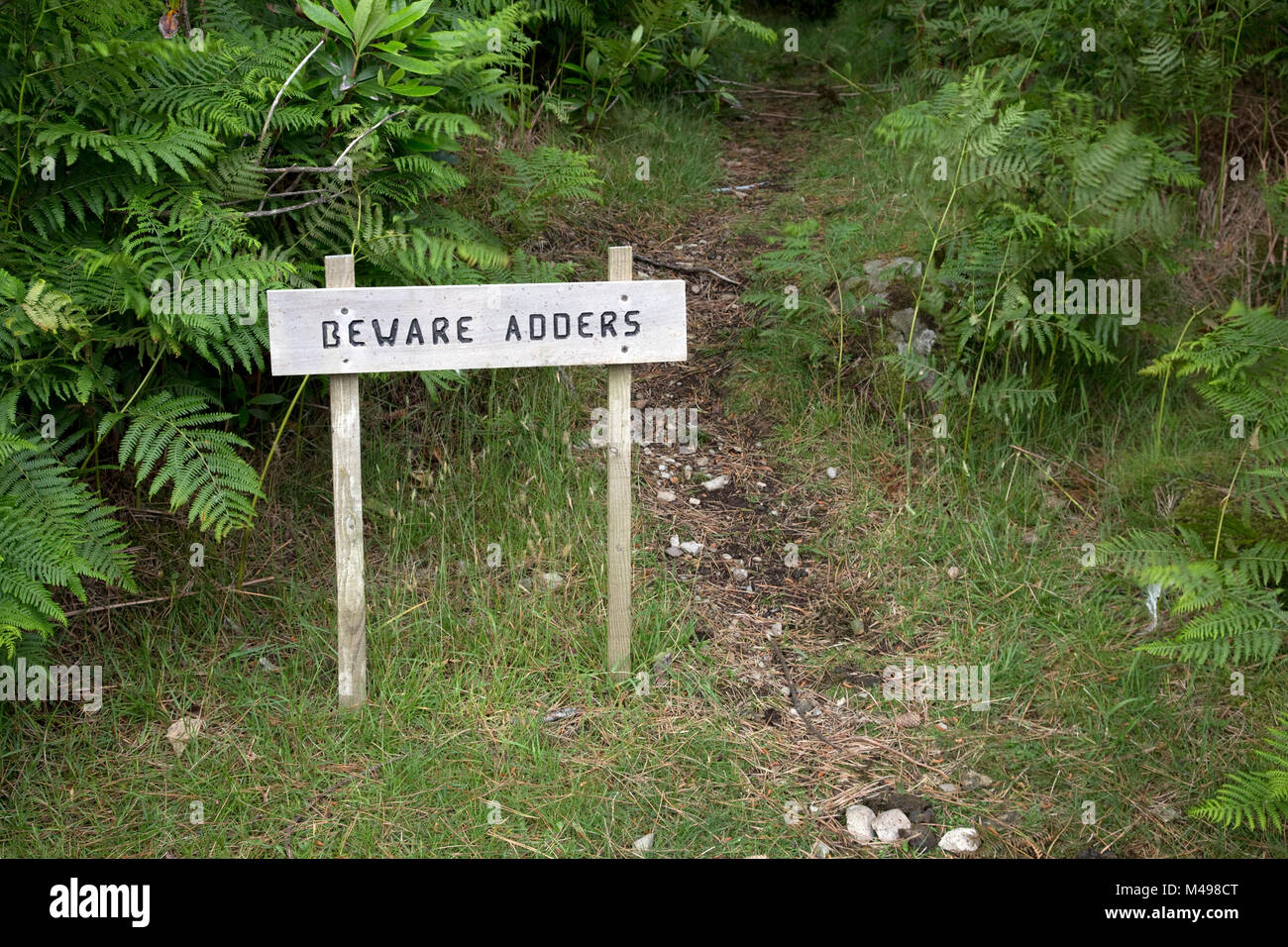 Warning sign beware adders near path Lochbuie Isle of Mull Scotland ...