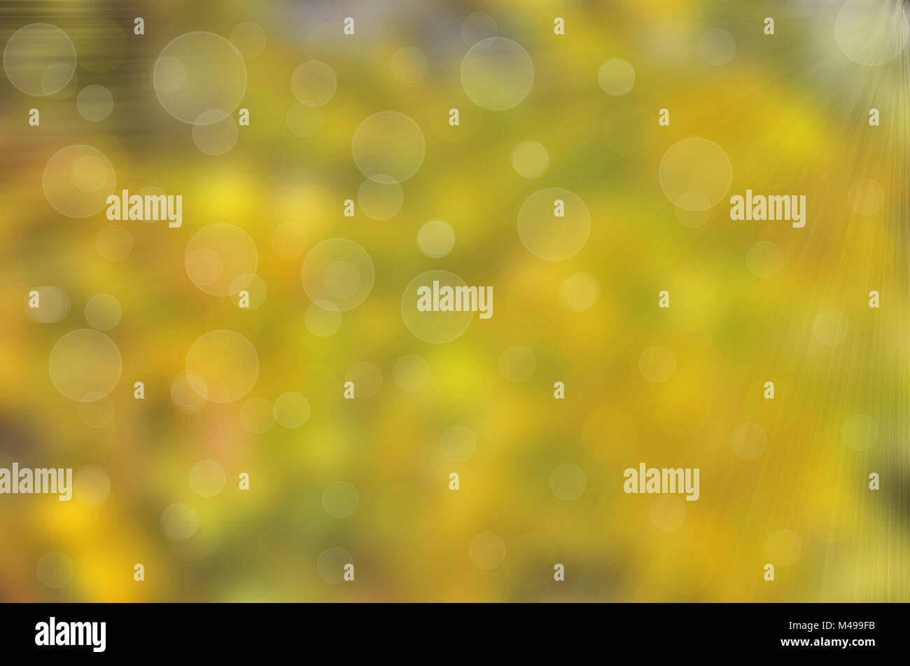Sunny abstract hi-res stock photography and images - Alamy
