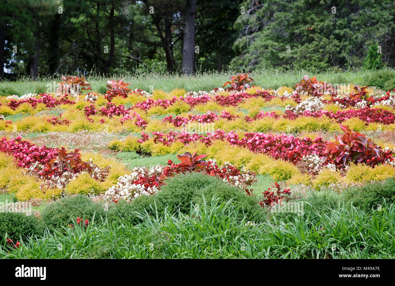 Meadow in the arboretum, decorated with beautiful flowers Stock Photo ...
