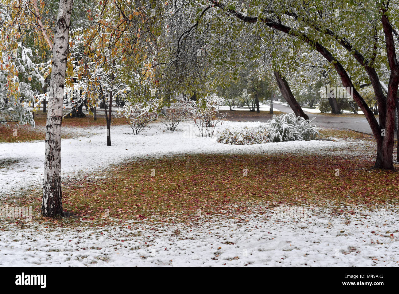 Quiet urban park hi-res stock photography and images - Alamy