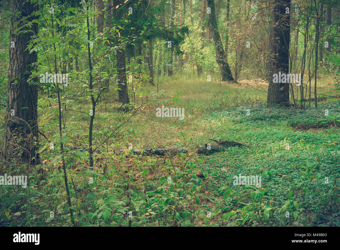 Covert Park High Resolution Stock Photography and Images - Alamy