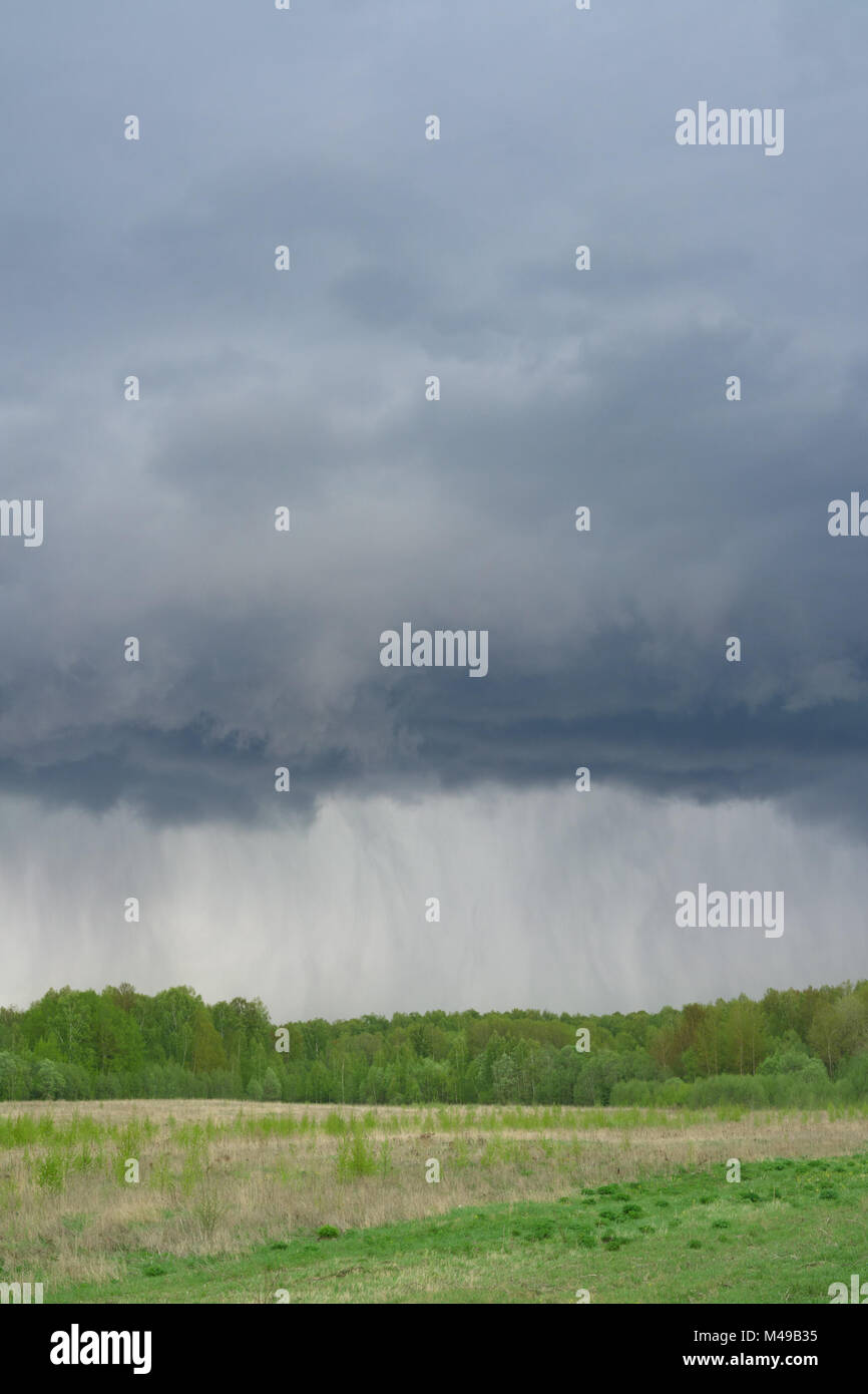 Thunderstorm over forest. Rain in the nature Stock Photo - Alamy