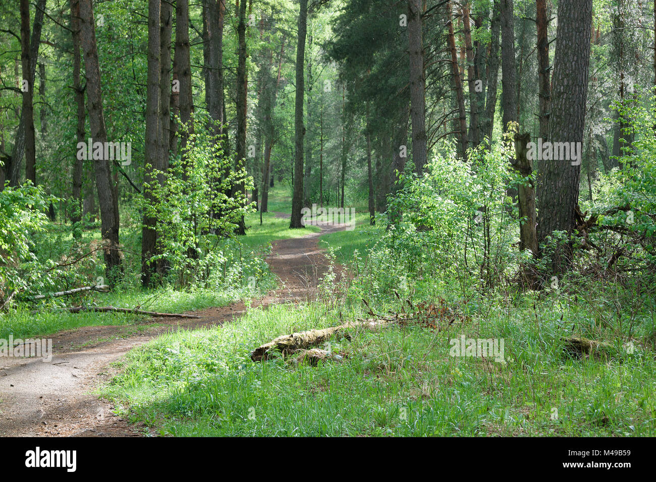 Covert park hi-res stock photography and images - Alamy