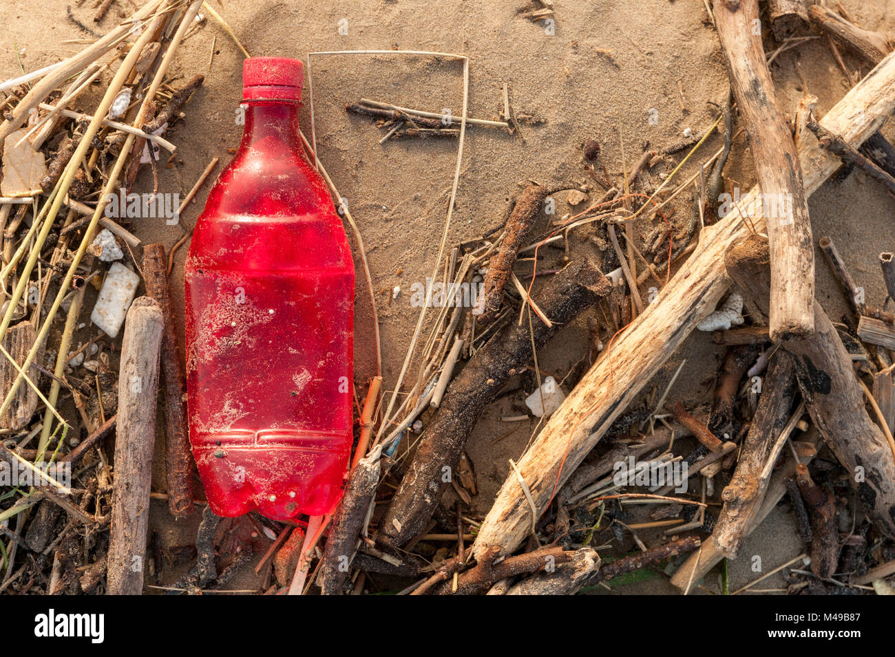 Detritus including a veriety of plastics washed up on Cefn Sidan ...