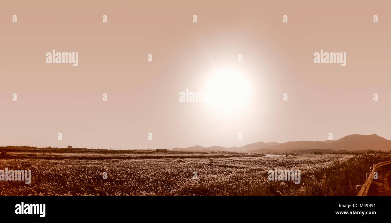 Riverside shot hi-res stock photography and images - Alamy