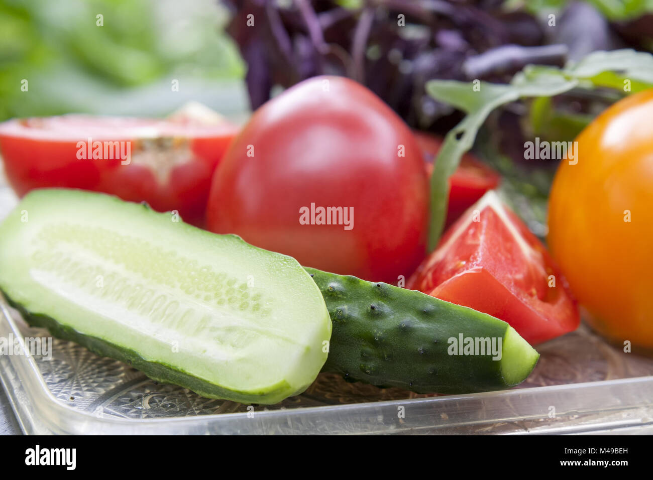 Different ripe organic vegetables and fresh herbs on a tray Stock Photo ...