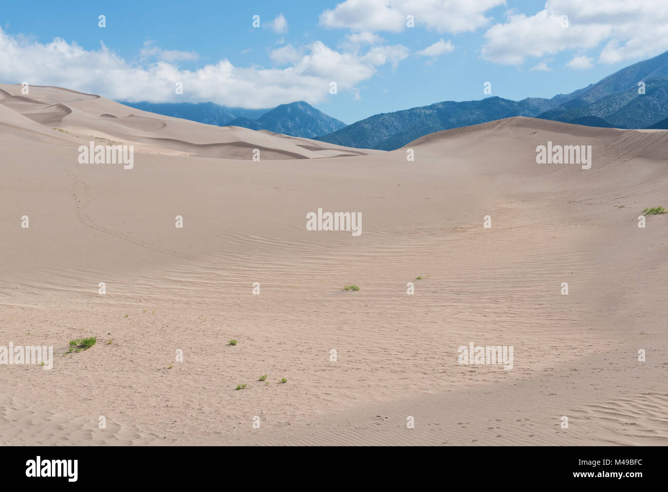 Great sand dunes national park mosca hi-res stock photography and ...