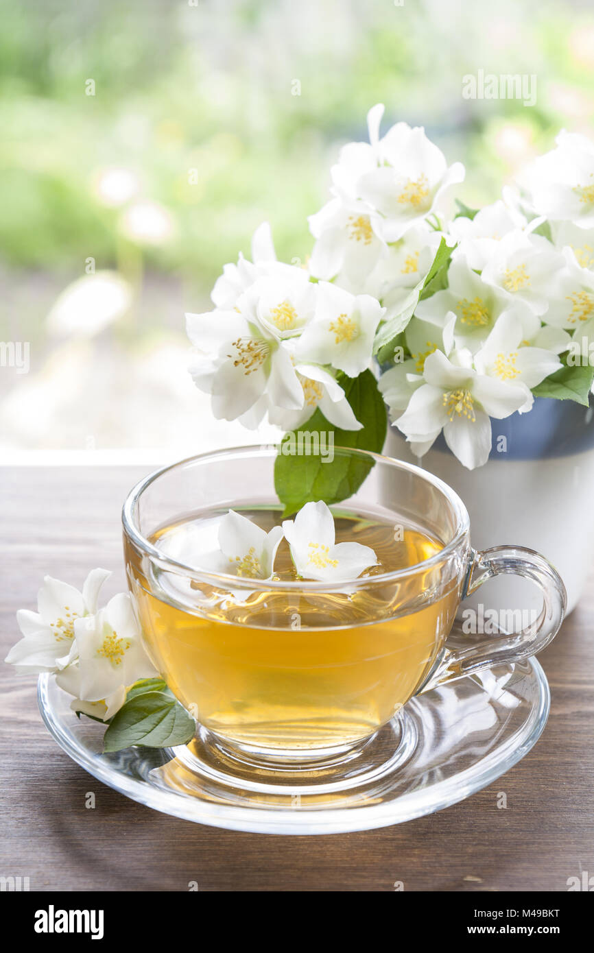 Cup of tea with jasmine and blooming jasmine branch Stock Photo - Alamy