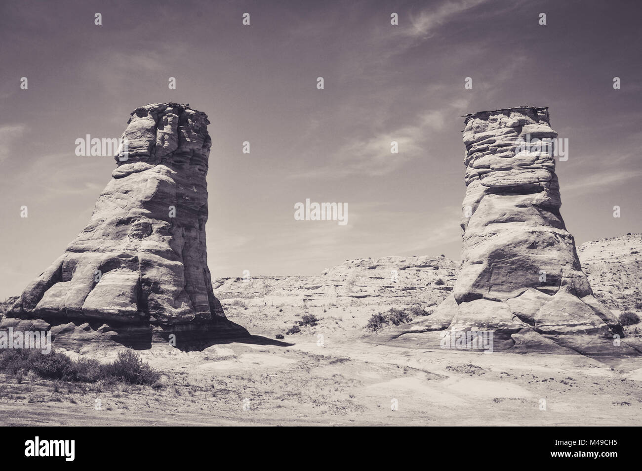 Big Rocks of Elephant Feet in West America Stock Photo - Alamy
