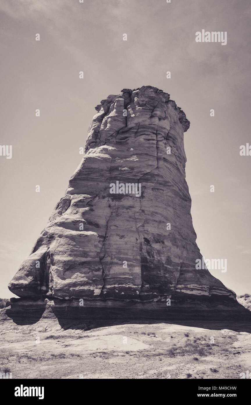 Elephant feet black white hi-res stock photography and images - Alamy