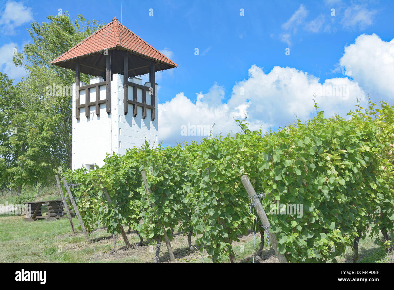 Vineyard Watchtower Stock Photos & Vineyard Watchtower Stock Images - Alamy