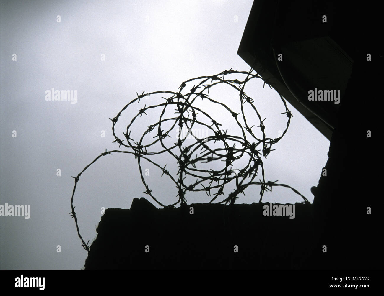 barbed wire on a fence Stock Photo - Alamy
