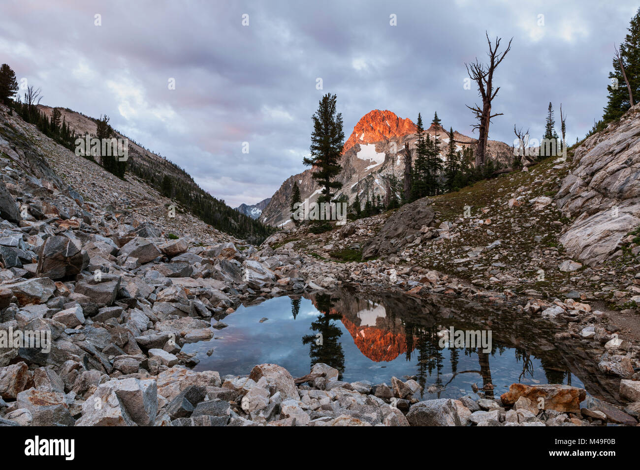 Summit of Mount Regan reflected in small tarn above Sawtooth Lake ...