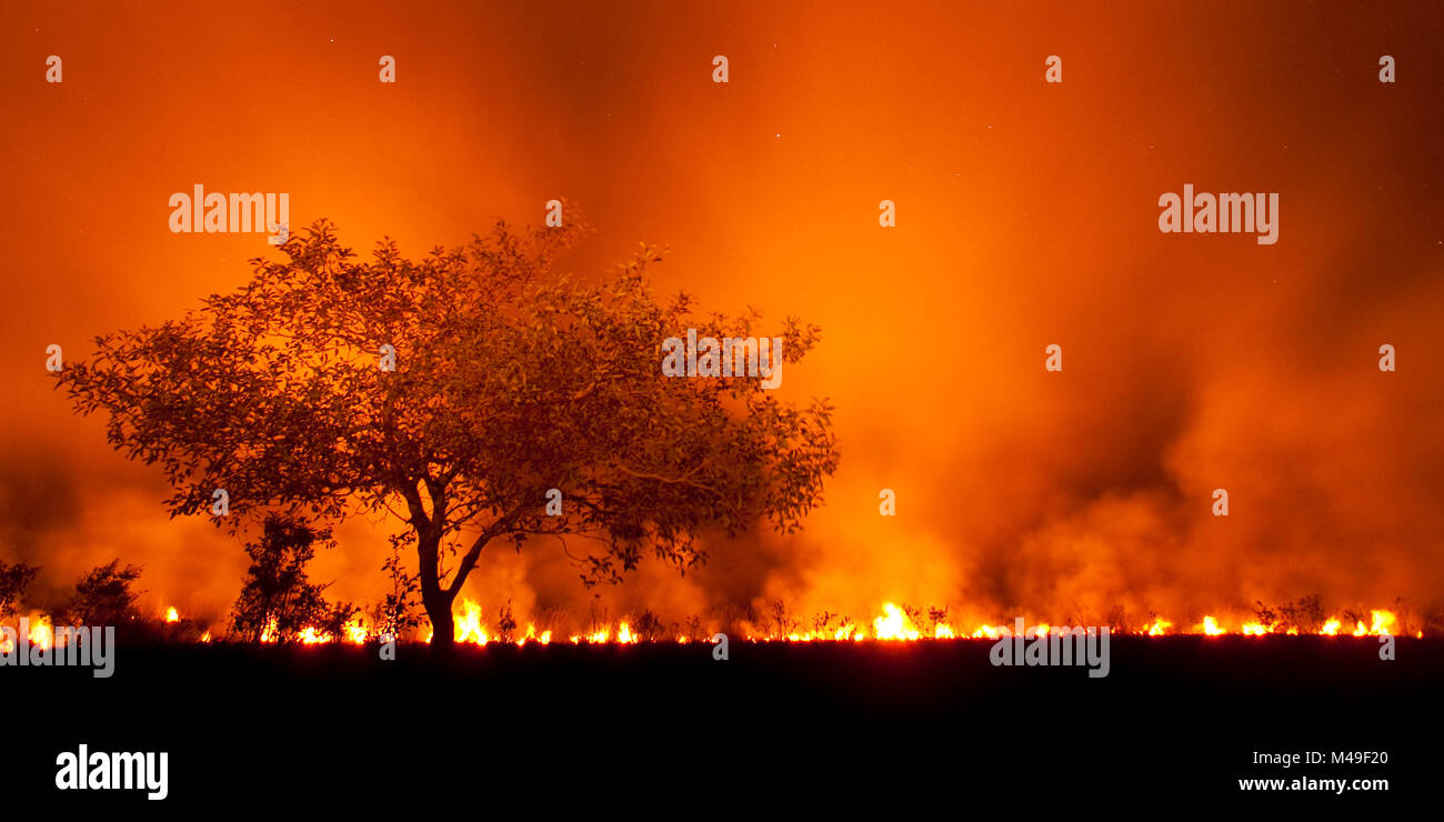 Wild fires night hi-res stock photography and images - Alamy