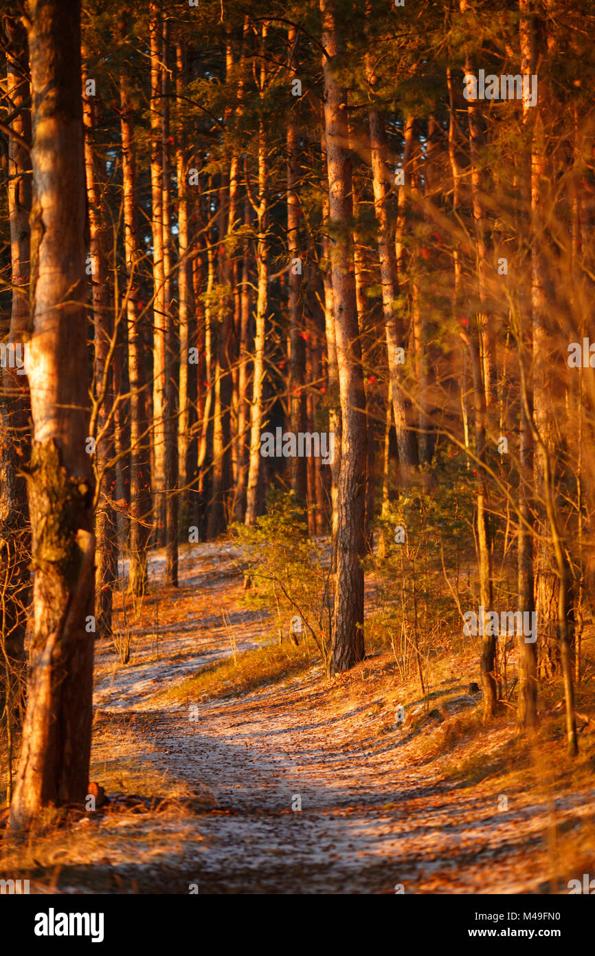 Weather picture first snow hi-res stock photography and images - Alamy