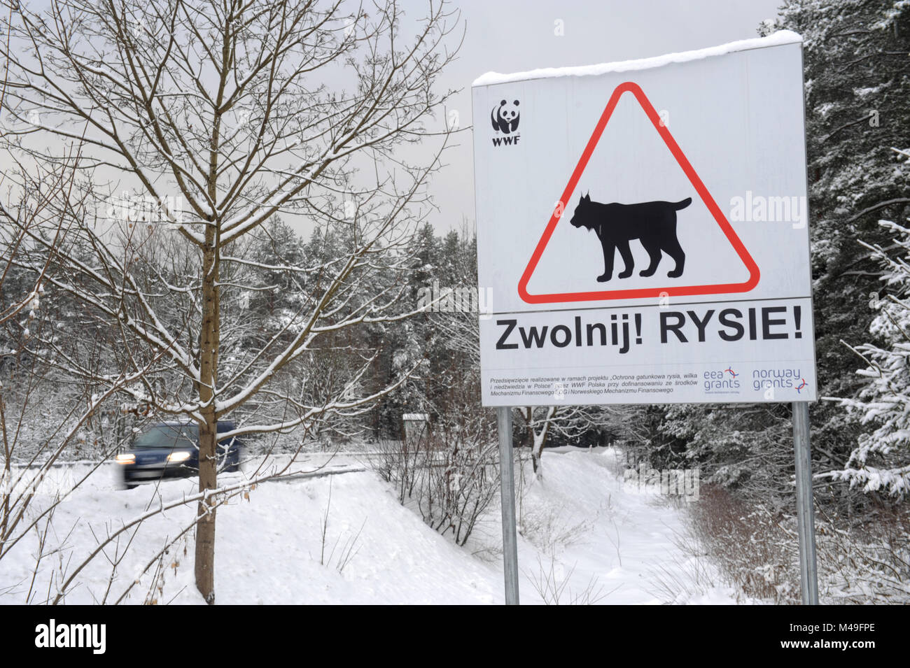 Lynx sign hi-res stock photography and images - Alamy