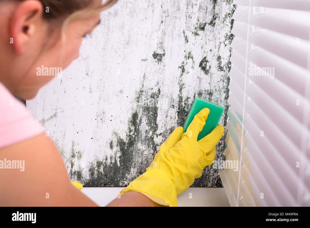 Soap mould hi-res stock photography and images - Alamy