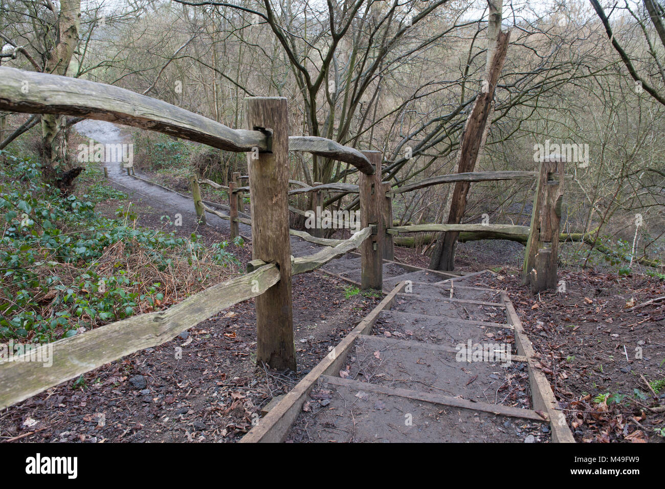Woodland wooden steps hi-res stock photography and images - Alamy