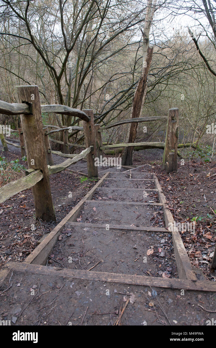 Woodland wooden steps hi-res stock photography and images - Alamy