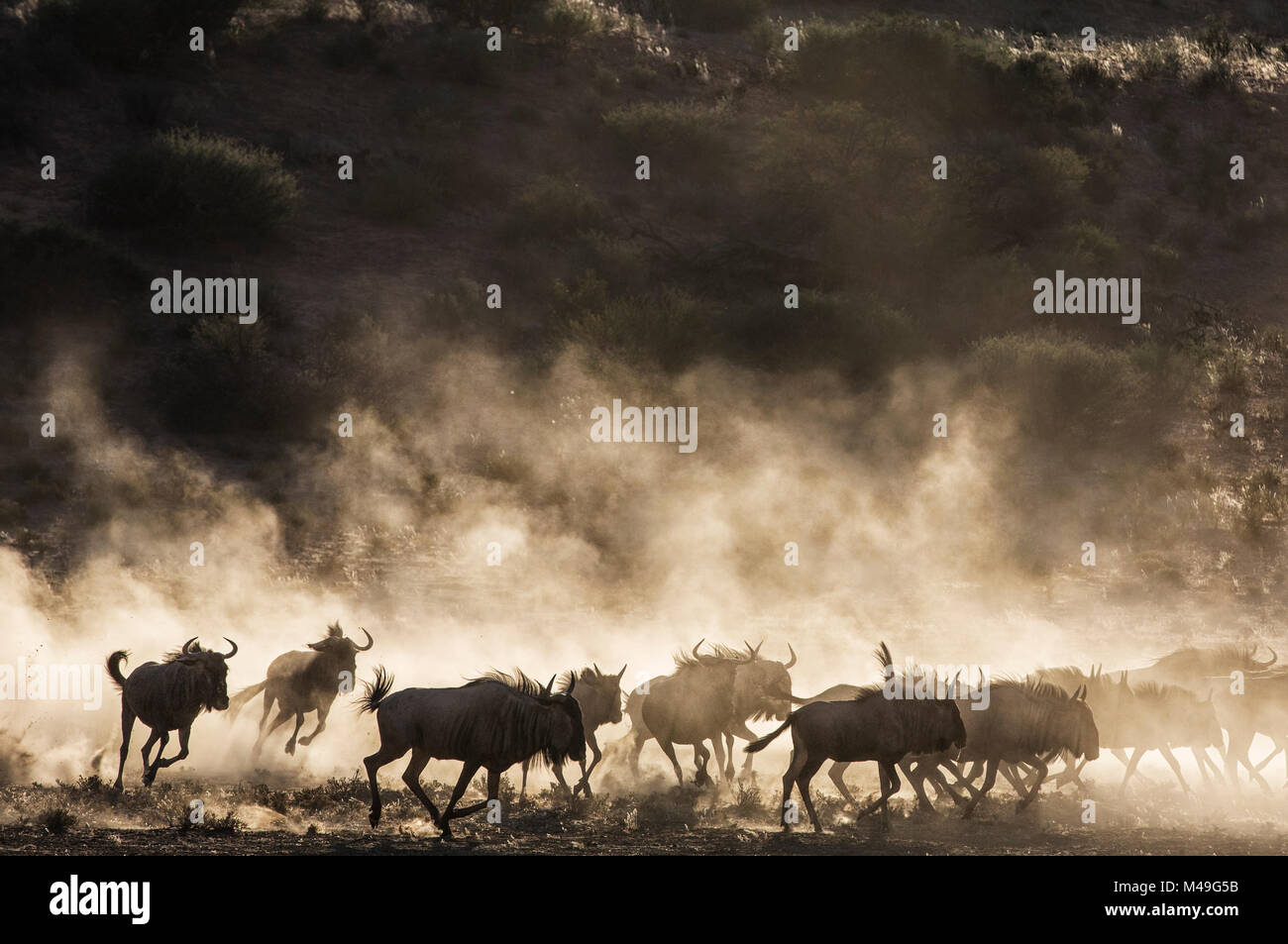 Dust flying around hi-res stock photography and images - Alamy