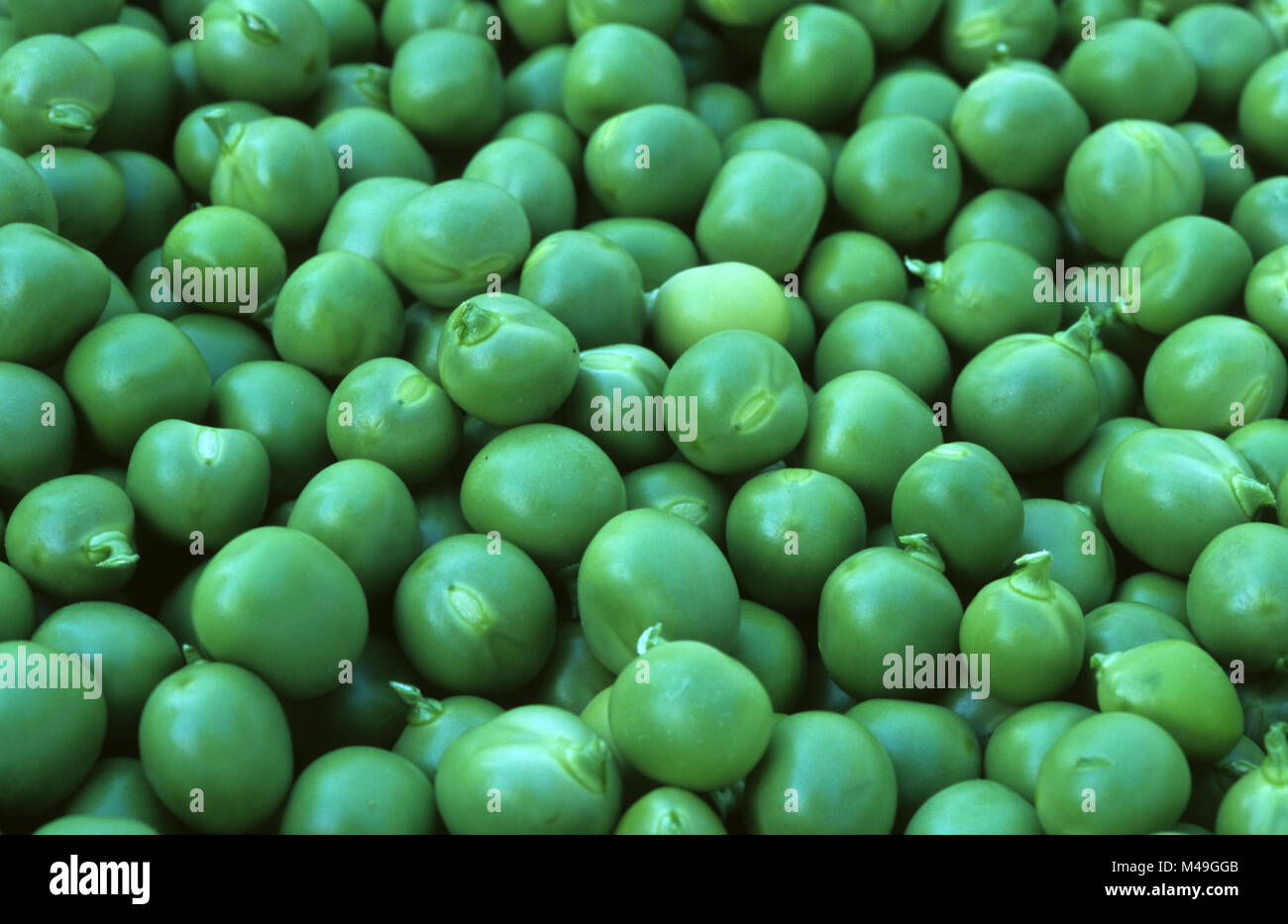 English peas or green peas hi-res stock photography and images - Alamy