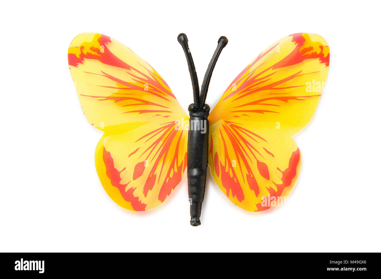 Colourful butterfly isolated on white background Stock Photo - Alamy