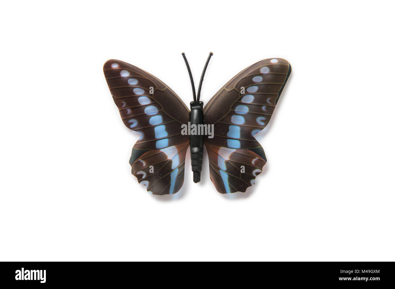 Colourful butterfly isolated on white background Stock Photo - Alamy