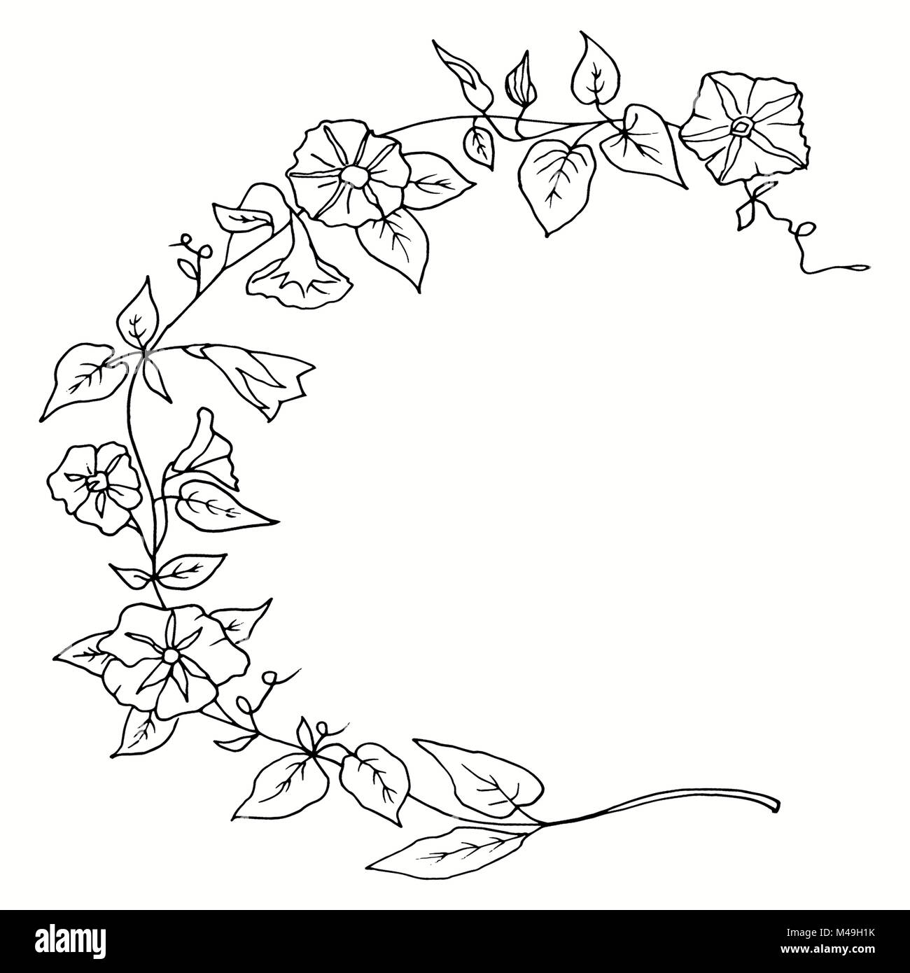 Set of contours of curly flowers and botanical plants. Isolated image ...