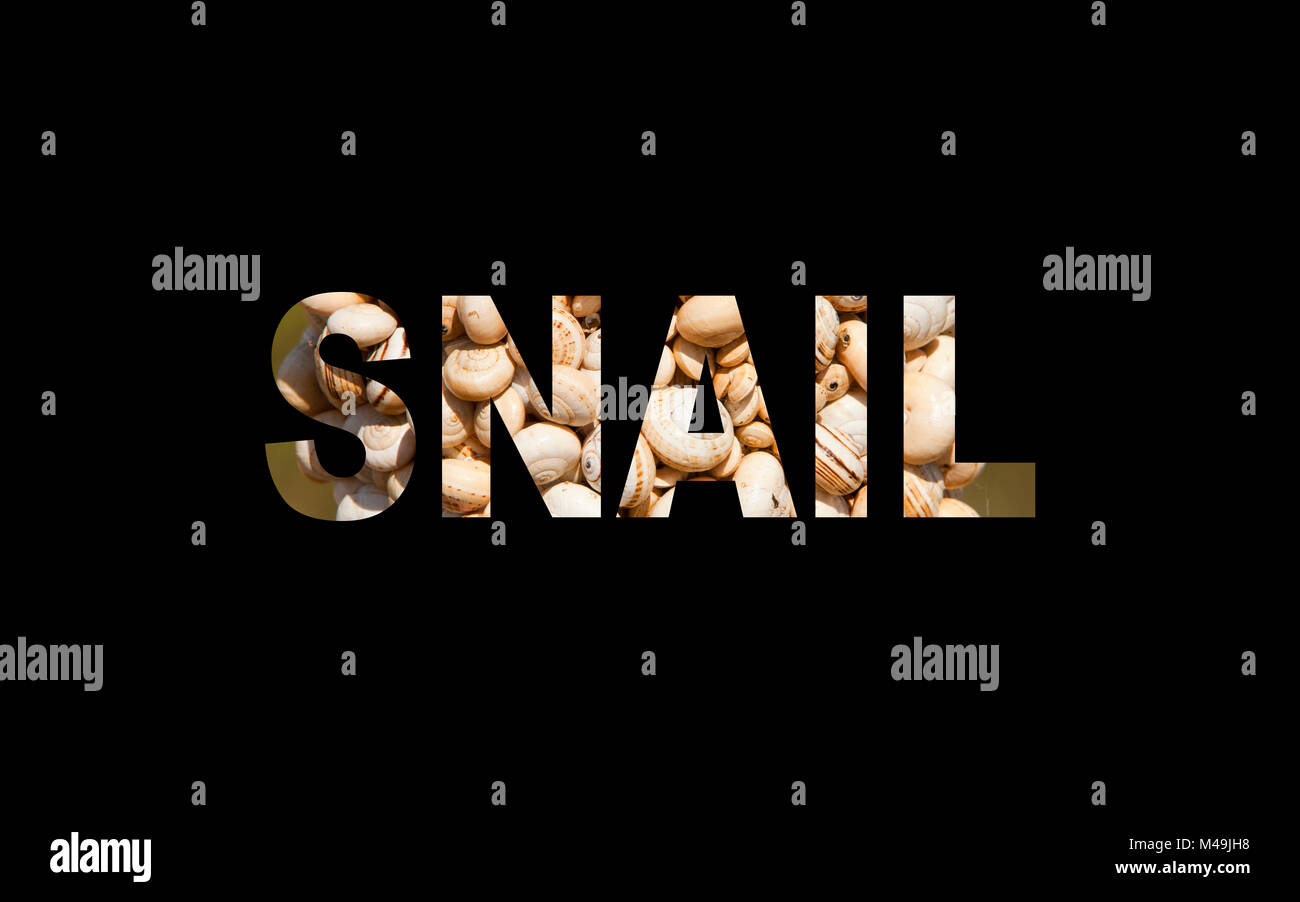 Word snail hi-res stock photography and images - Alamy