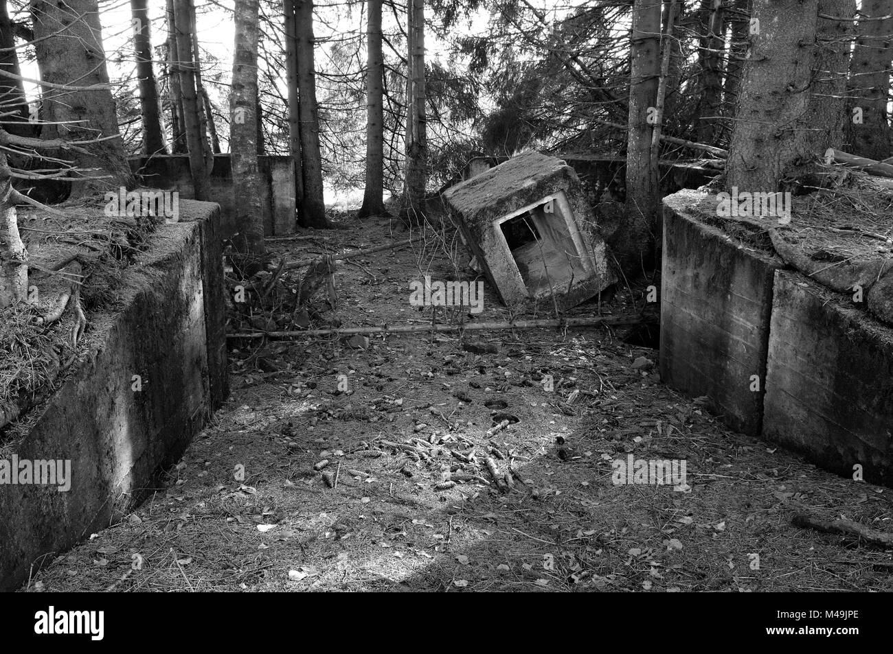 Nazi building german third Black and White Stock Photos & Images - Alamy