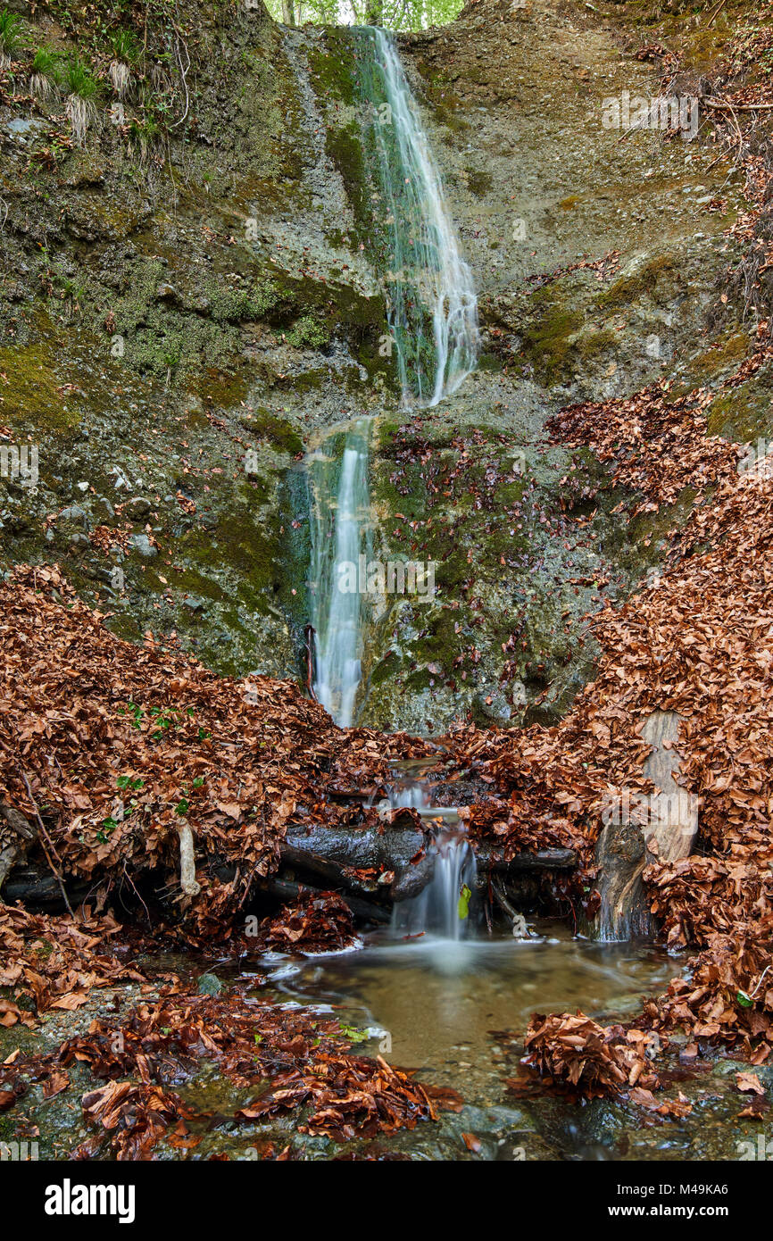 Small waterfall surrounded by fallen leaves Stock Photo - Alamy