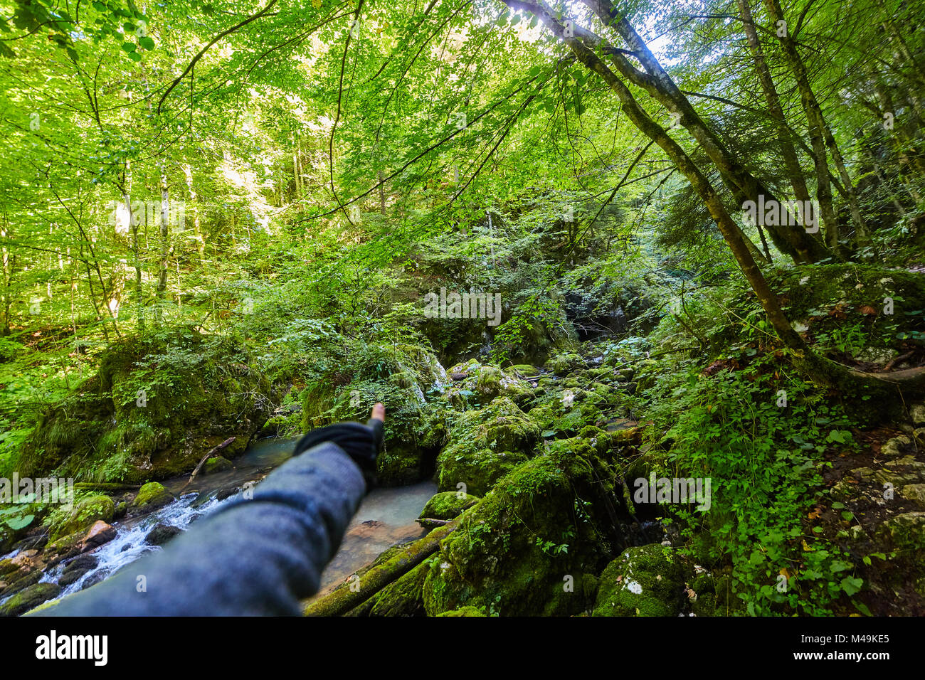 Hand of a young man indicating the hiking trail to follow Stock Photo ...