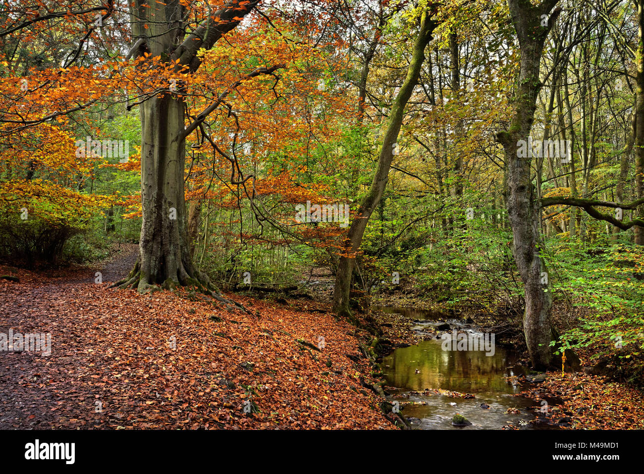 Porter brook river hi-res stock photography and images - Alamy