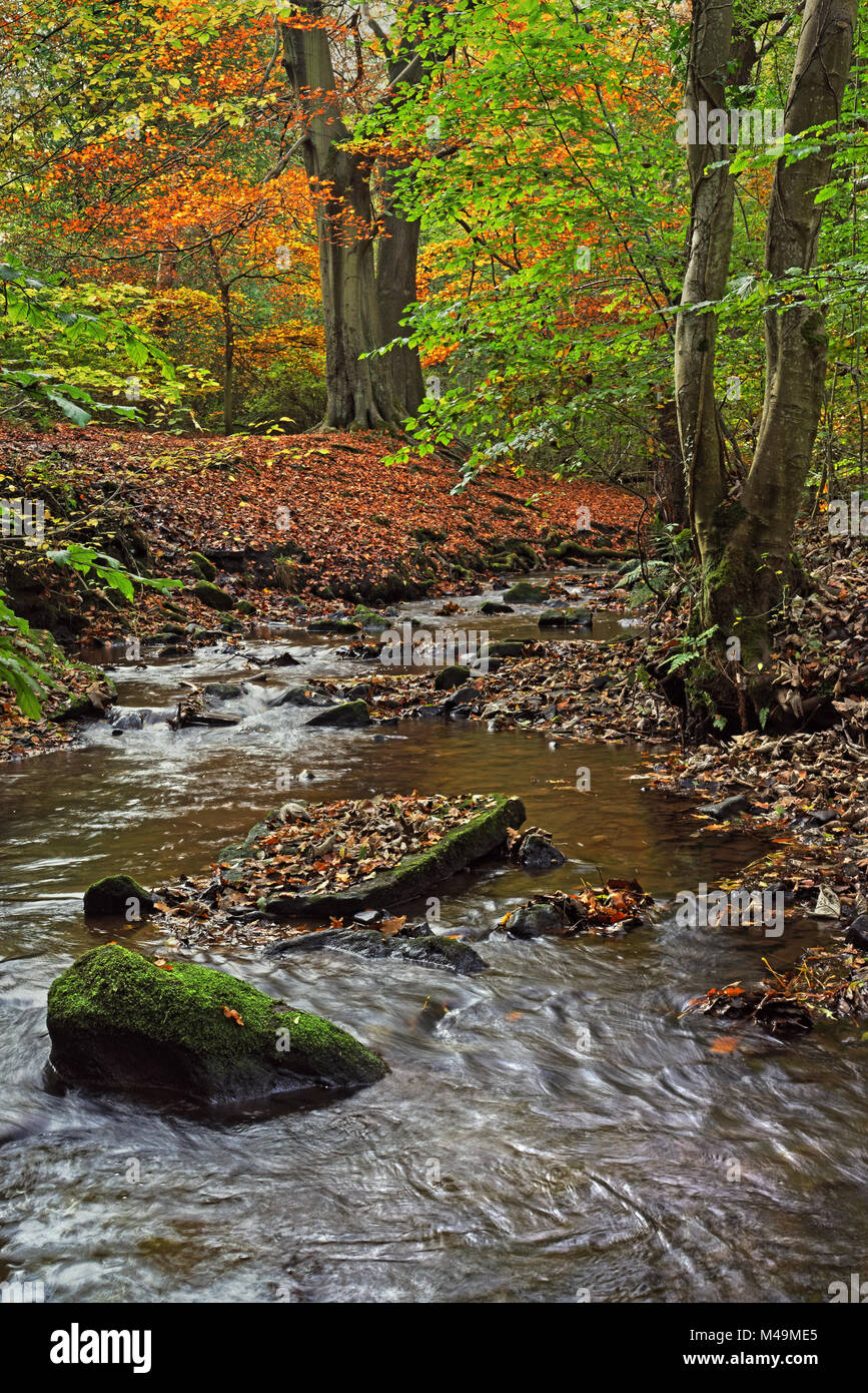 Porter brook valley hi-res stock photography and images - Alamy