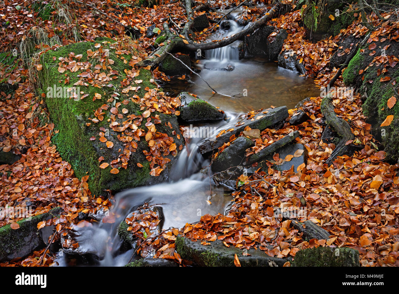 UK,South Yorkshire,Sheffield,Porter Clough,Porter Brook Waterfalls in ...
